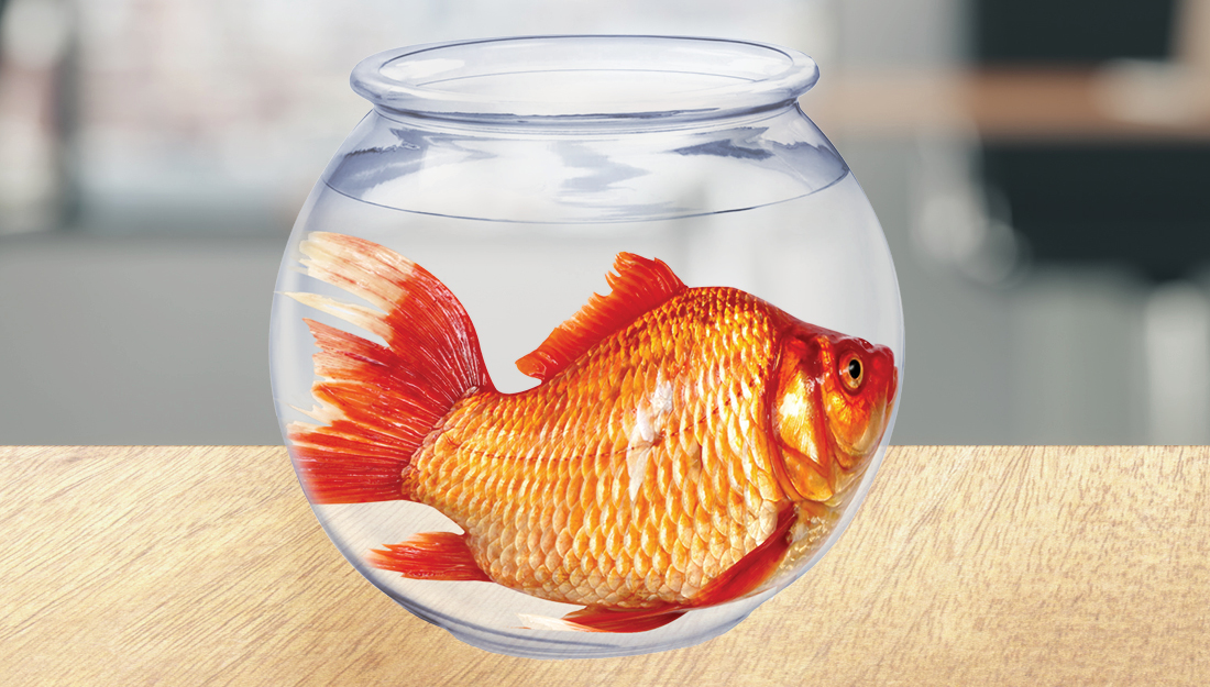 The pros and cons of variable speed drive compressors - KAESER Know How ...